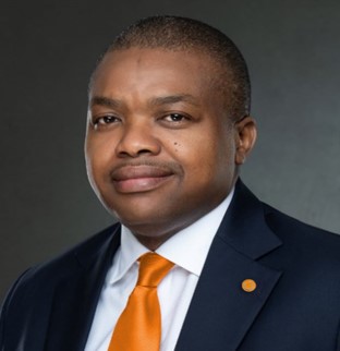 Transnational Corporation Plc Appoints Chiugo Ndubuisi as Non-Executive ...